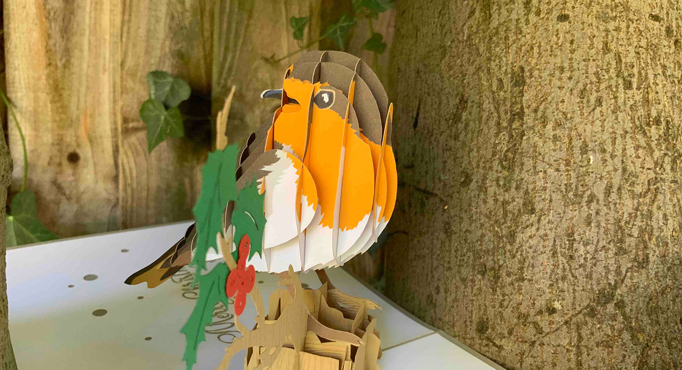 The 3D Robin Christmas Card - new for Xmas 2019 - Pop-up Pigeon